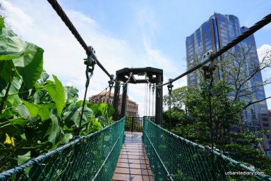 Bukit Nanas Forest Reserve / KL Forest Eco Park • Sassy Urbanite's Diary